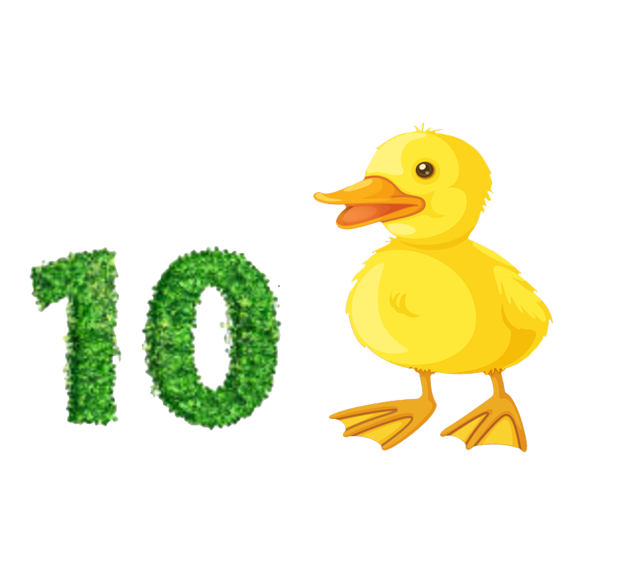 10 Duck | Dane Bank Green Space